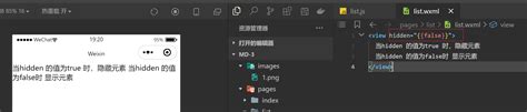 hidden 控制元素显示和隐藏演示 java code zx 博客园