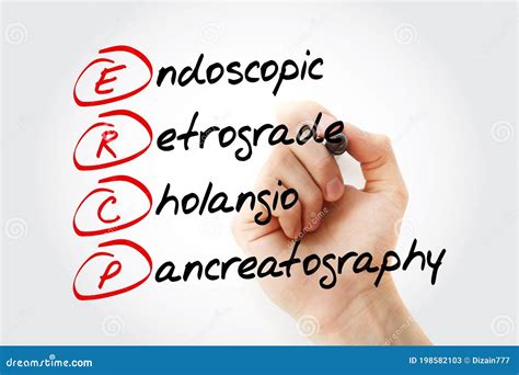 Ercp Endoscopic Retrograde Cholangiopancreatography Acronym With