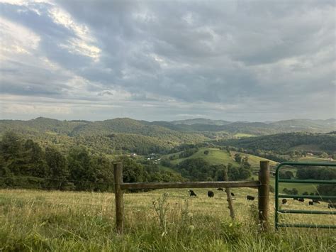 Steven Rash On Linkedin So Thankful To All Of My Colleagues And Clients Present And Past Who…