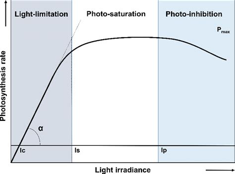 Photosynthetic Light Response Curve α Slope Of The Curve I E Max Download Scientific