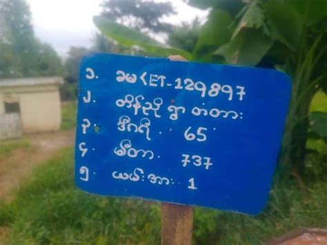 ရက္ခိုင်ပြည်မာ စစ်ကောင်စီတပ်က ရက္ခိုင်ပြည်သူလူထုကို အဓိက ပစ်မှတ်ထားပနာ ရည်ရွယ်ချက်ဟိဟိနန့