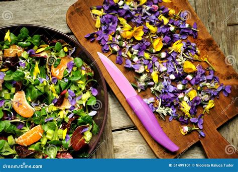 Rapunzel Salad Fruit Stock Photos Free Royalty Free Stock Photos From Dreamstime