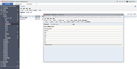 Oracle项目业务表单设计oracle Primaveraunifier Bporacle Primavera Unifier Csdn博客