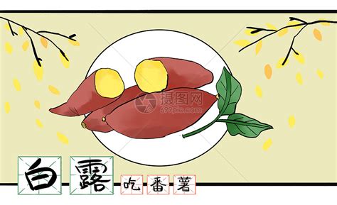 白露之吃番薯插画图片下载 正版图片400536717 摄图网