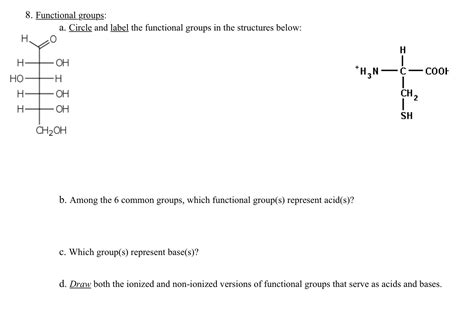 Solved 8 Functional Groups A Circle And Label The Chegg Com