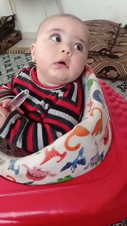 في منزلي انثى السنجاب 🐿 Shortsvideo Youtube