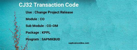 CJ SAP Tcode For Change Project Release