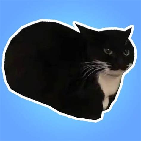 Maxwell Мемы Рисовать Кот Maxwell Мемы Рисовать Кот