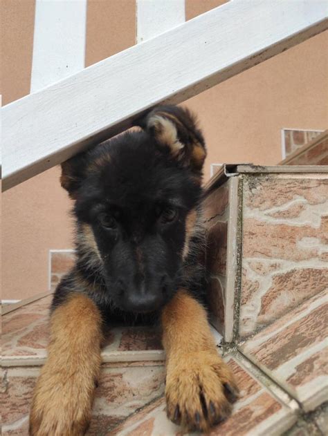 Aleksandar Aco Đukić On X Aleksandar Đukić