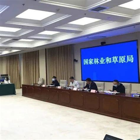五一期间防火形势严峻 国家林草局森林草原防火工作再部署火险地区火灾