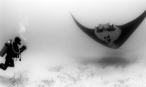 970616839 A Deep Dive Into Its Uses And Importance