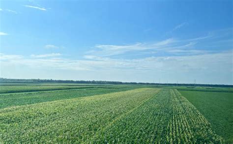 数值计算（03）：非线性方程迭代求根（c 实现） 知乎