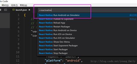React Native问题记录 张伯伯的blog
