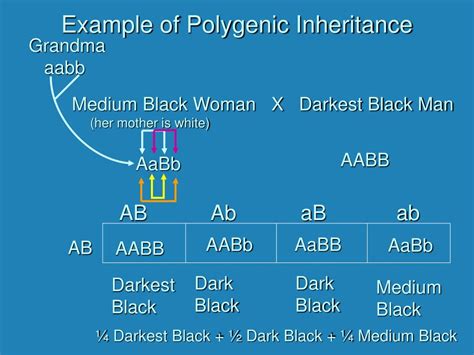 PPT Patterns Of Inheritance PowerPoint Presentation Free Download ID 4292906