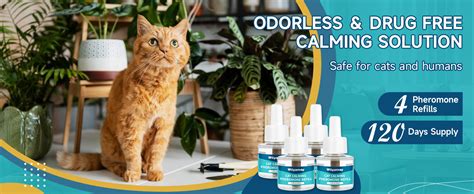 Amazon Com Woyamay Cat Calming Diffuser Refills Pack Cat Pheromones Calming Diffuser For
