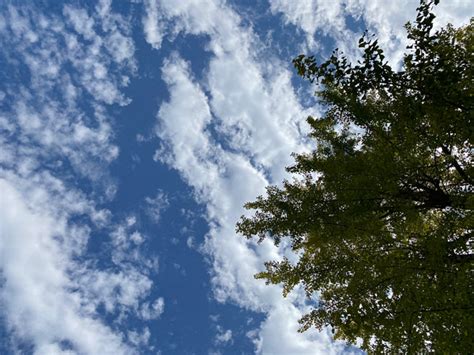 왕초보 Php 게시판 만들기 2 글쓰기 페이지 네이버 블로그