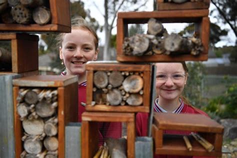 Keeping Towns Tidy Sunbury And Macedon Ranges