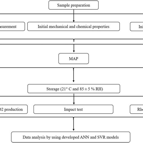 Diagram Illustrating The Experimental Procedure Ann Artificial Neural Download Scientific