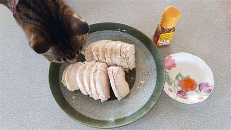 猫のおなか 幻塔adventure On Twitter 鶏ハム作った！ラー油付けるとおつまみレベル上がりますね