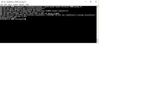Segmentation Fault Error With Minimap2 · Issue 111 · Lh3minimap2 · Github