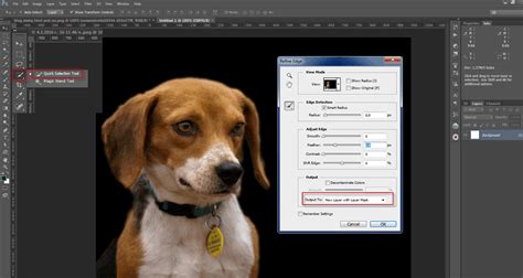 Как се избират обекти с Photoshop бързо и прецизно Блогът на Аула