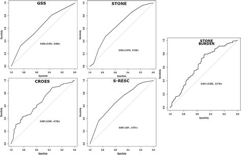 Does Success In Percutaneous Nephrolithotomy Depend Only On Stone Size Analysis Of The