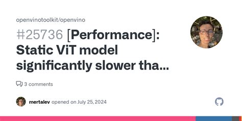 Performance Static Vit Model Significantly Slower Than Dynamic With