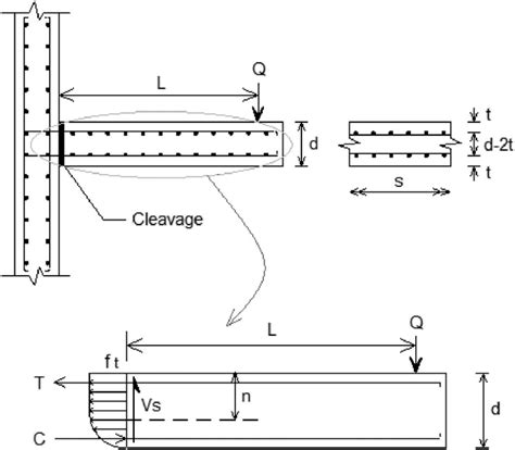 Force System For Specimen U Download Scientific Diagram