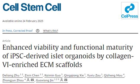 类器官周报：胶原vi基质支架提升ipsc胰岛类器官活性及成熟 知乎