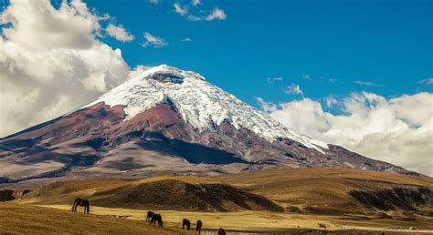 Cotopaxi Travel Dein Guide Für Einen Besuch Im Cotopaxi Nationalpark