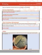Understanding Isolation Techniques In Biomedical Science Course Hero
