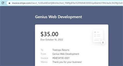 Why Wpmu Devs Client Billing Outshines Stripe For Client Billing