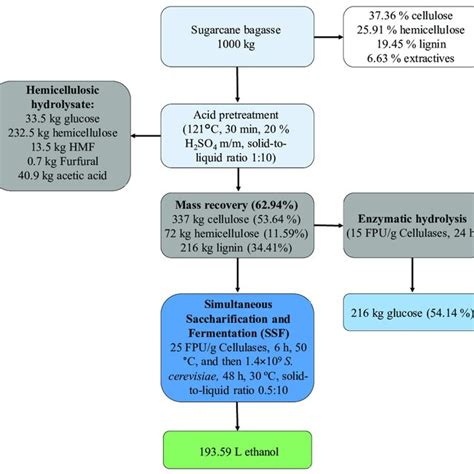 Flowchart Of Semi Simultaneous Saccharification And Fermentation Download Scientific Diagram