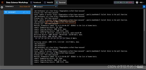 datawhale ai夏令营 nlp实践：基于论文摘要的文本分类与关键词抽取挑战赛——进阶篇 checkout your
