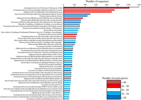 Abundances Of Archaeal And Bacterial Ssu Rrna Gene Sequences In The Download Scientific Diagram