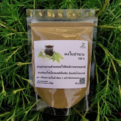 ผงใบย่านาง 100 ชงดื่มเพื่อสุขภาพหรือใช้ใส่ในแกงหน่อไม้ Shopee Thailand