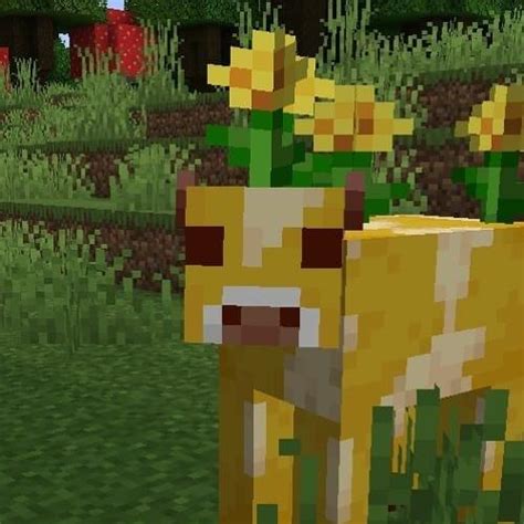 Moobloom Lyrics Songs And Albums Genius