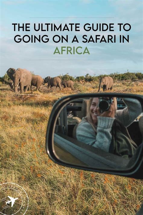 The Ultimate Guide To Going On An African Safari • The Blonde Abroad South Africa Photography