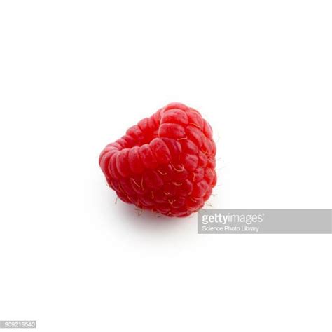 One Raspberry