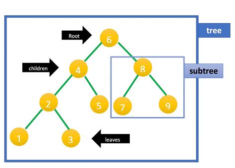 Depth First Search Breadth First Search And The Greedy Algorithm By Gelfer Stone Medium