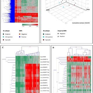 Unsupervised Analyses Unsupervised Hierarchical Clustering A