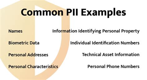 Pii Security Your Complete Guide To Protecting Personally