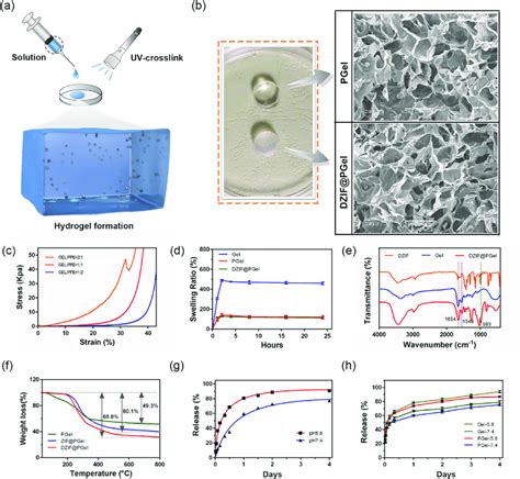Characterization Of Nanocomposite Hydrogels A Schematic Diagram Of