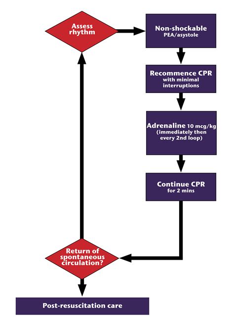 Algorithms Asystole PEA Management