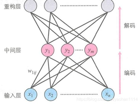自编码器及其几种变种自编码器几种 Csdn博客