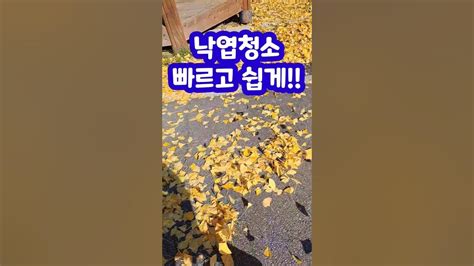 낙엽청소 쉽고 빠르게~~~ Youtube