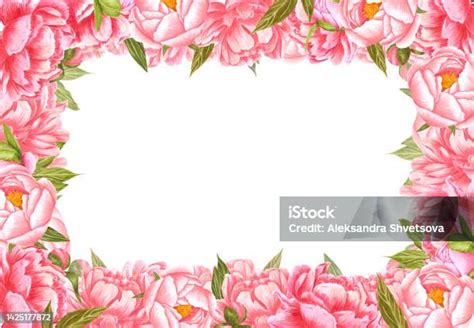 손으로 그린 수채화 분홍색과 크림 모란 꽃 프레임은 흰색 배경에 녹색 잎과 새싹이 있습니다 스크랩북 디자인 청첩장 라벨 배너 엽서 0명에 대한 스톡 벡터 아트 및 기타