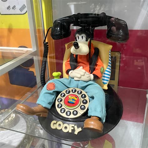 구피 저나기 콜리 Colley