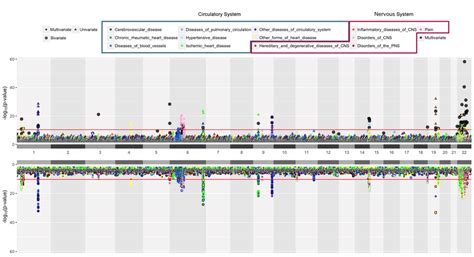 Univariate Bivariate And Multivariate Results Download Scientific Diagram