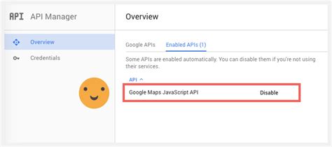 Setting Up Your Google Maps API Key AppThemes Docs